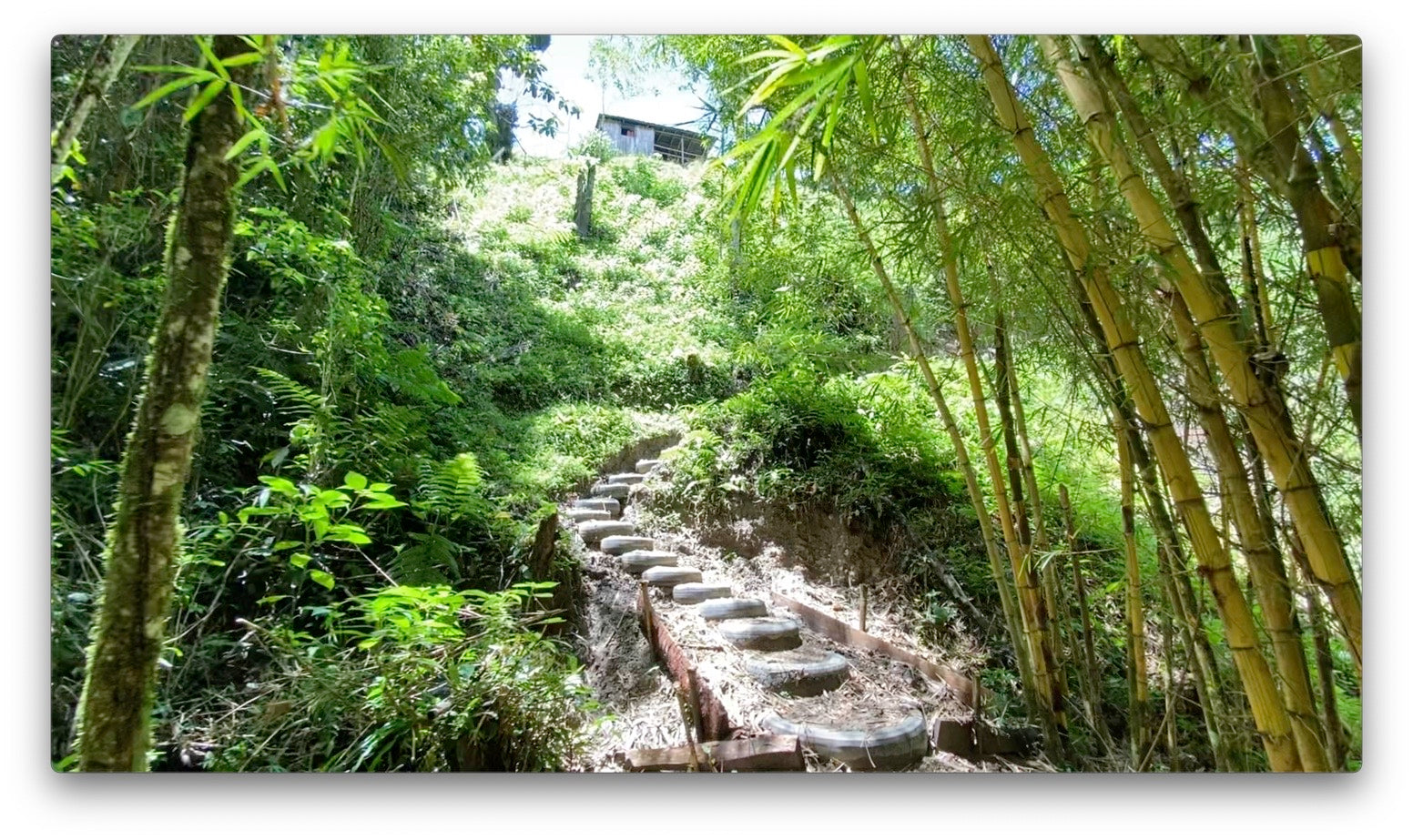 Products – EmenseCoffee